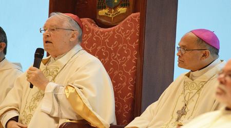 German Cardinal Cordes: Liturgical ‘Blessing’ for Gay Unions is ‘Truly ...