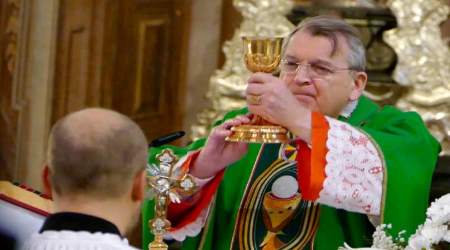 Cardinal Burke Discusses Possibility of Excommunication by Francis...