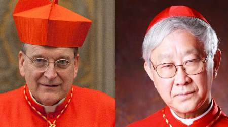 Cardinals Burke and Zen to Address Confusion in the Church this Week...