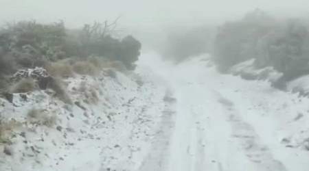 Snow Falls for the First Time Ever in Hawaii State Park...