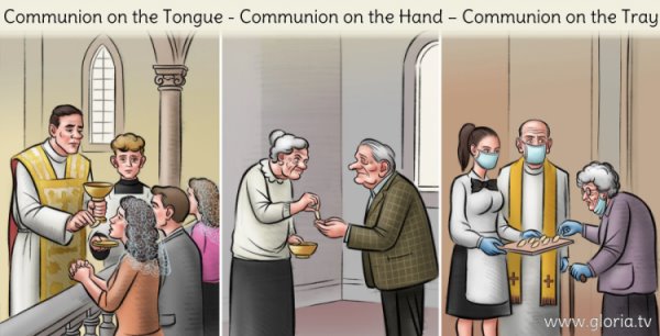 Cardinal Burke Joins Battle Against Taking Communion with the Hand...