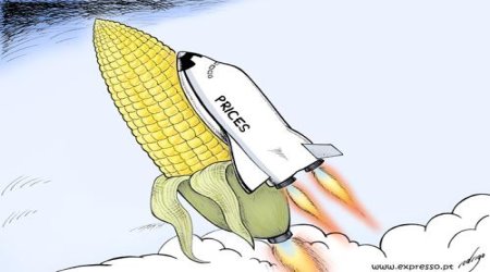 Corn Prices Rise 30 Percent So Far This Year – Big Agriculture ...